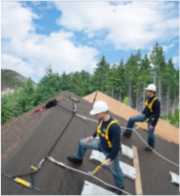 3M™ PROTECTA® COBRA™ ROPE GRAB AC202D (ANSI ONLY) STOP USE AND PRODUCT ...